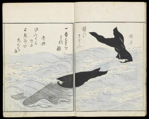 The Fitzwilliam Museum - Tatsu no miyatsuko: P.207-1942